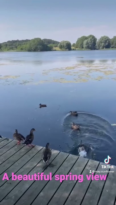 A beautiful spring view - YouTube