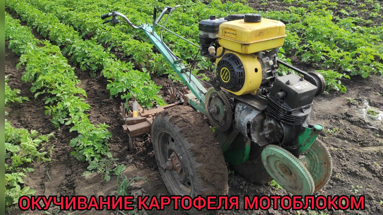 ОКУЧИВАНИЕ КАРТОФЕЛЯ МОТОБЛОКОМ Youtube