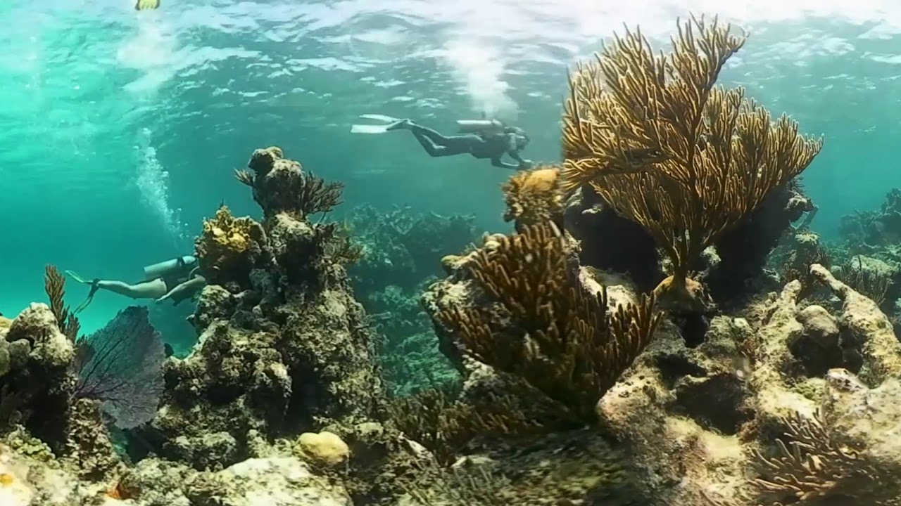 VR Goulding Cay, Nassau Bahamas, Kodak Orbit 360 - YouTube