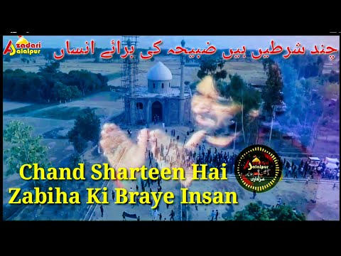 Chand Sharteen Hain Zabiha Ki Braye Insan