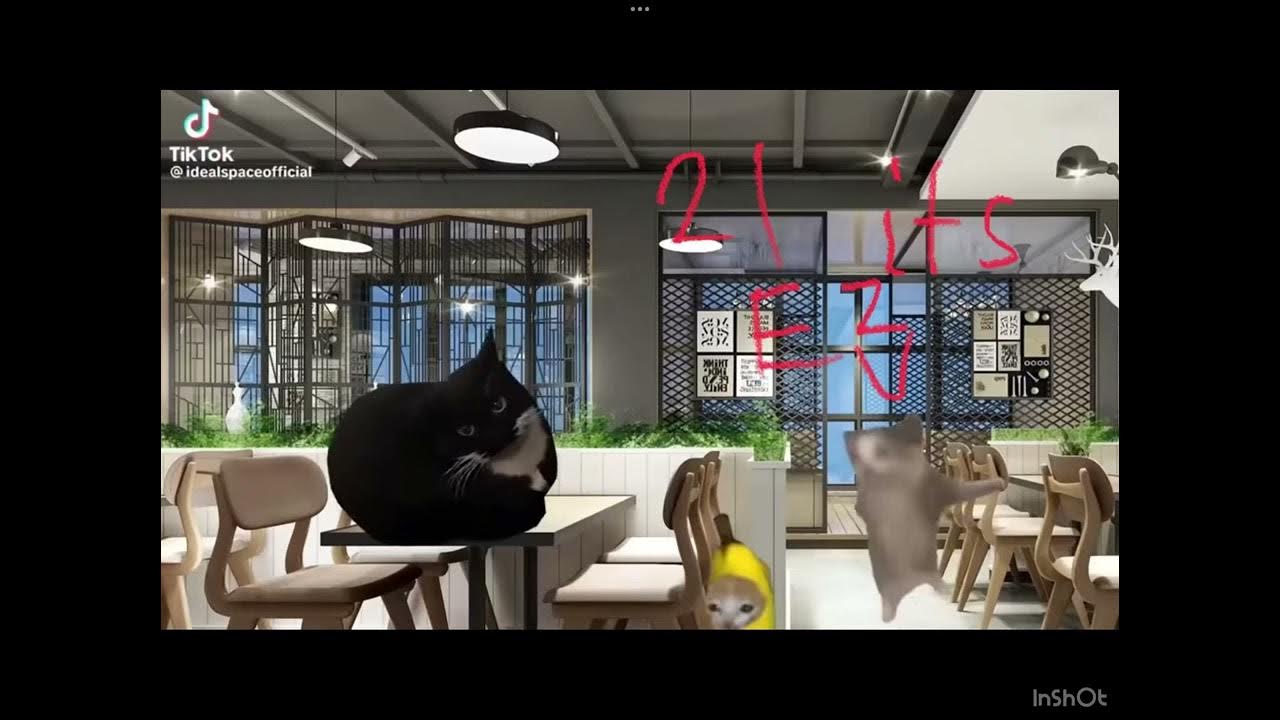 9 10 Equals 21 Happy Cat Meme YouTube 9-10-equals-21-happy-cat-meme-youtube