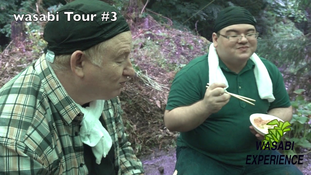 wasabi Tour #3 2020/6/11 - YouTube
