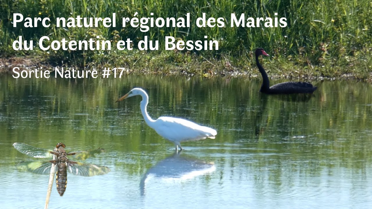 Parc naturel régional des Marais du Cotentin et du Bessin - YouTube