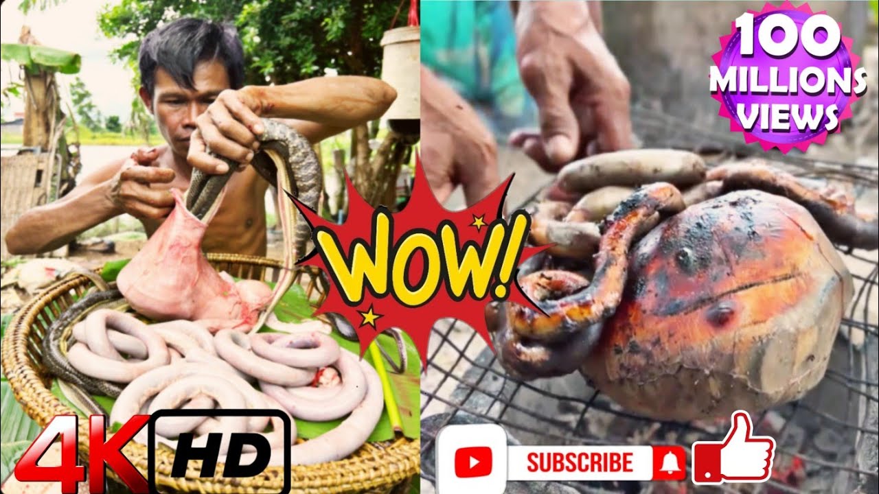0mg Incredible water snakes and animal stomachs recipe cooking and ...