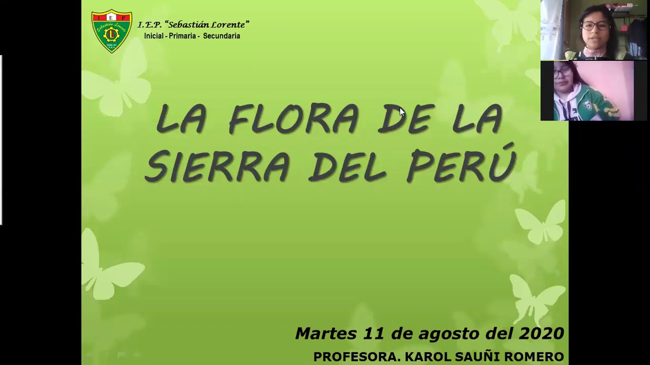 LA FLORA DE LA SIERRA DEL PERÚ - YouTube