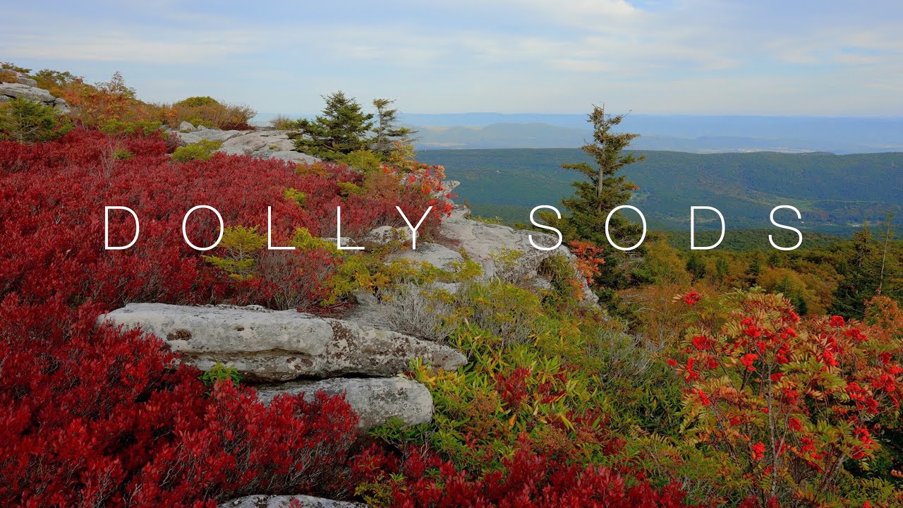 Dolly Sods | 4K - YouTube