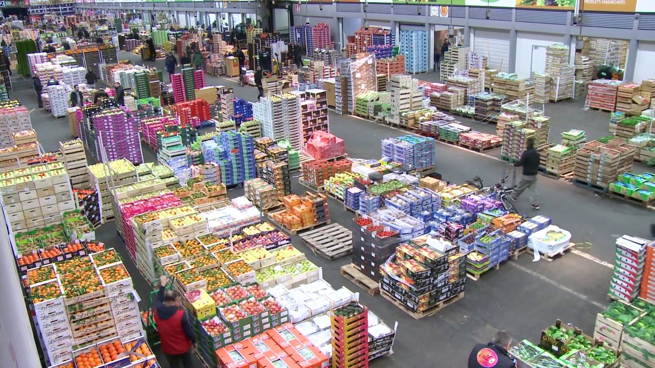 Grossiste, livraison, importateur de fruits et légumes : SUN 7 FRUITS ...