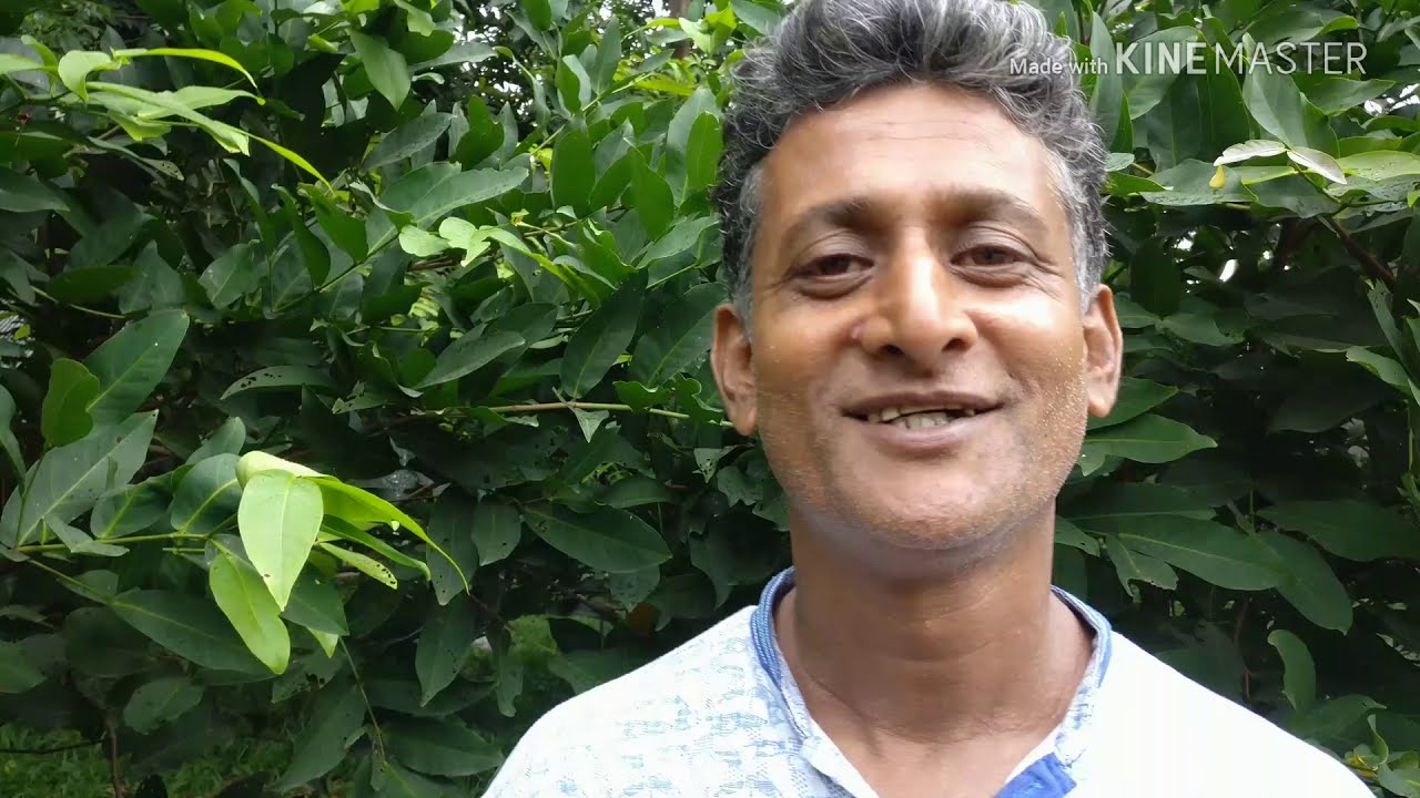 ঘুমের ঘোরে। Ghoomer ghore। স্বজন সাহা। Swajan saha। কাঞ্চন সাহা। Kanchan saha। - YouTube