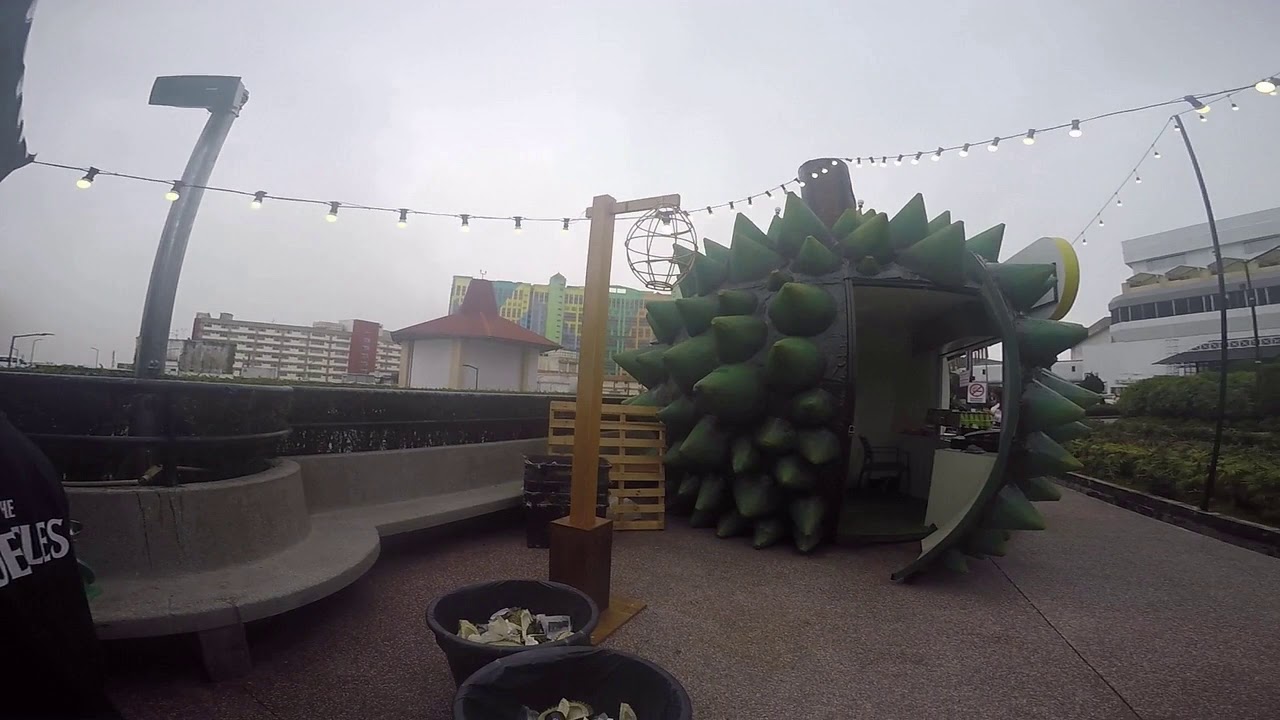 Durian Genting Highlands 2019 - YouTube