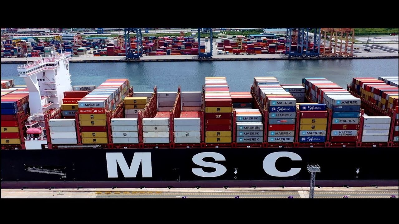 MSC Lion-Jaguar service - YouTube