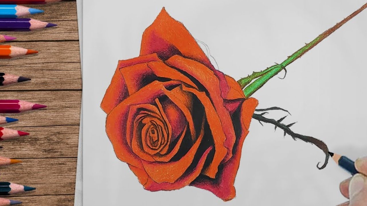 Drawing a Stunning Rose Flower with Colored Pencils | Step-by-Step ...
