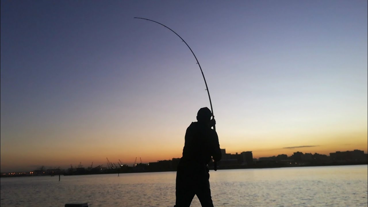 The Place Of Legends. Fishing Of West/South Pier- Durban (South Africa ...