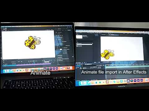 Animate file in After effects changing - Adobe Community - 13656171