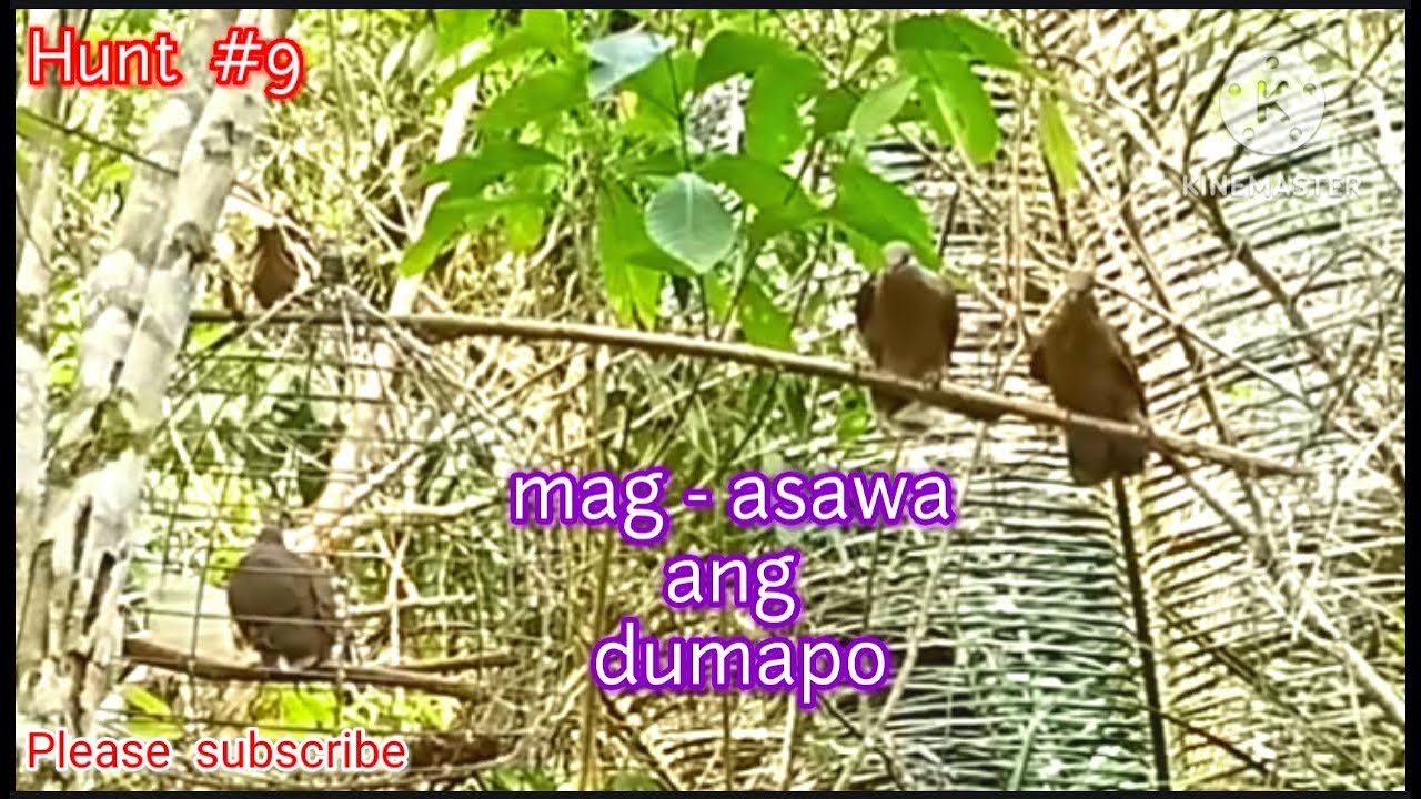 Mag - asawa ang dumapo double catch - YouTube