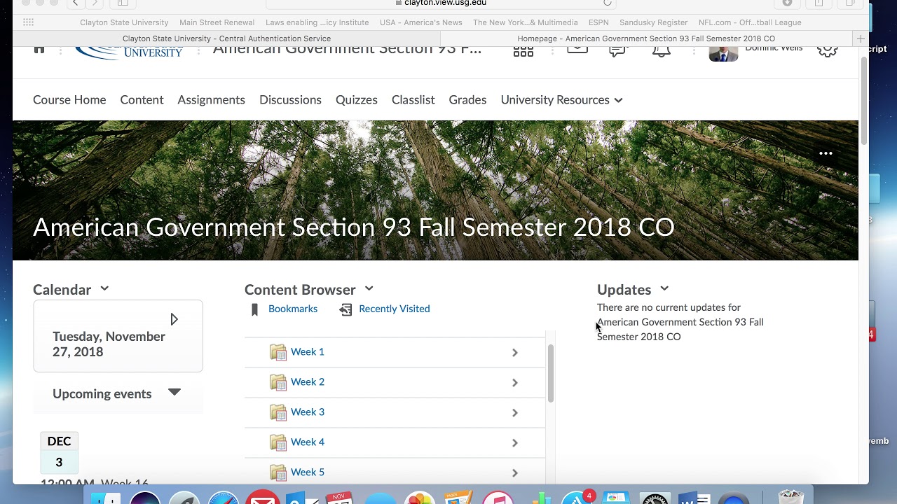How to View Individual Feedback in D2L - YouTube
