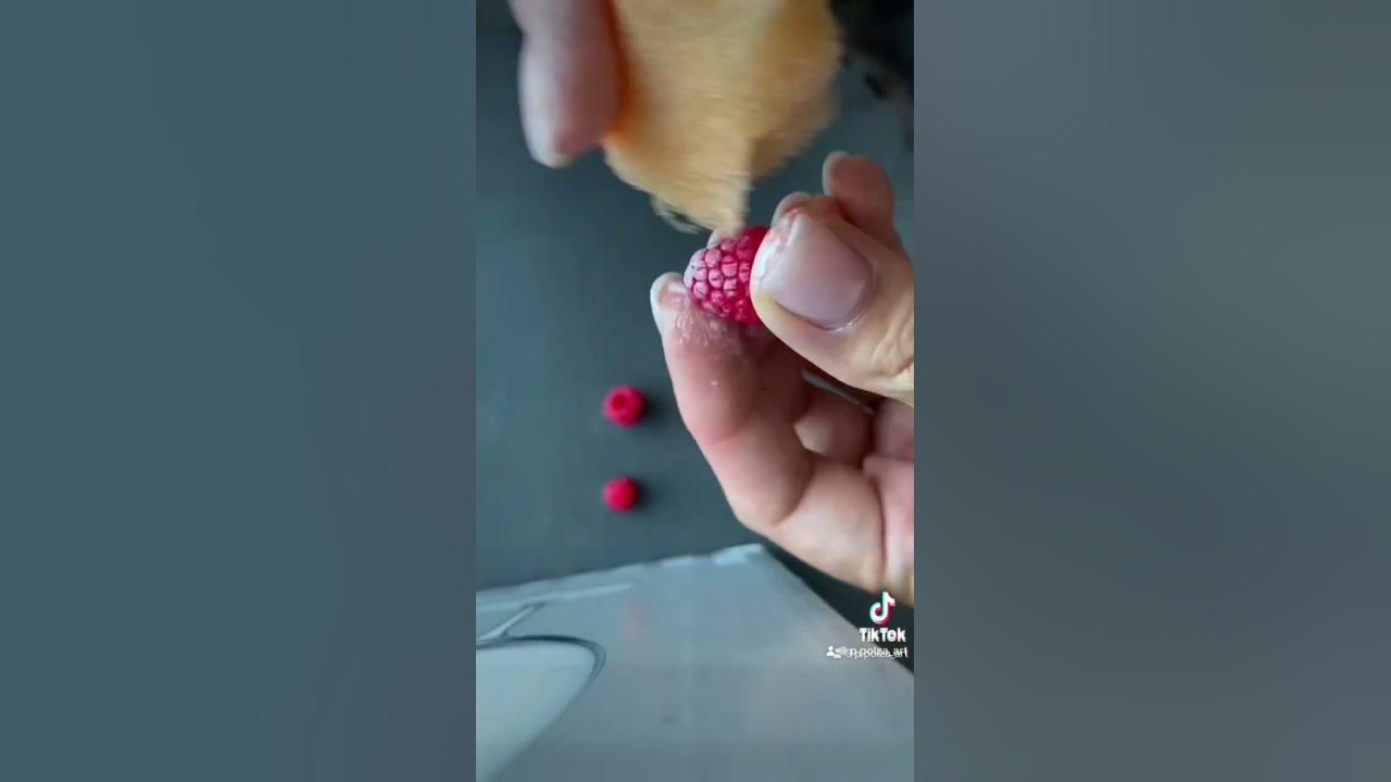 Підписуйся p.polza_art - YouTube