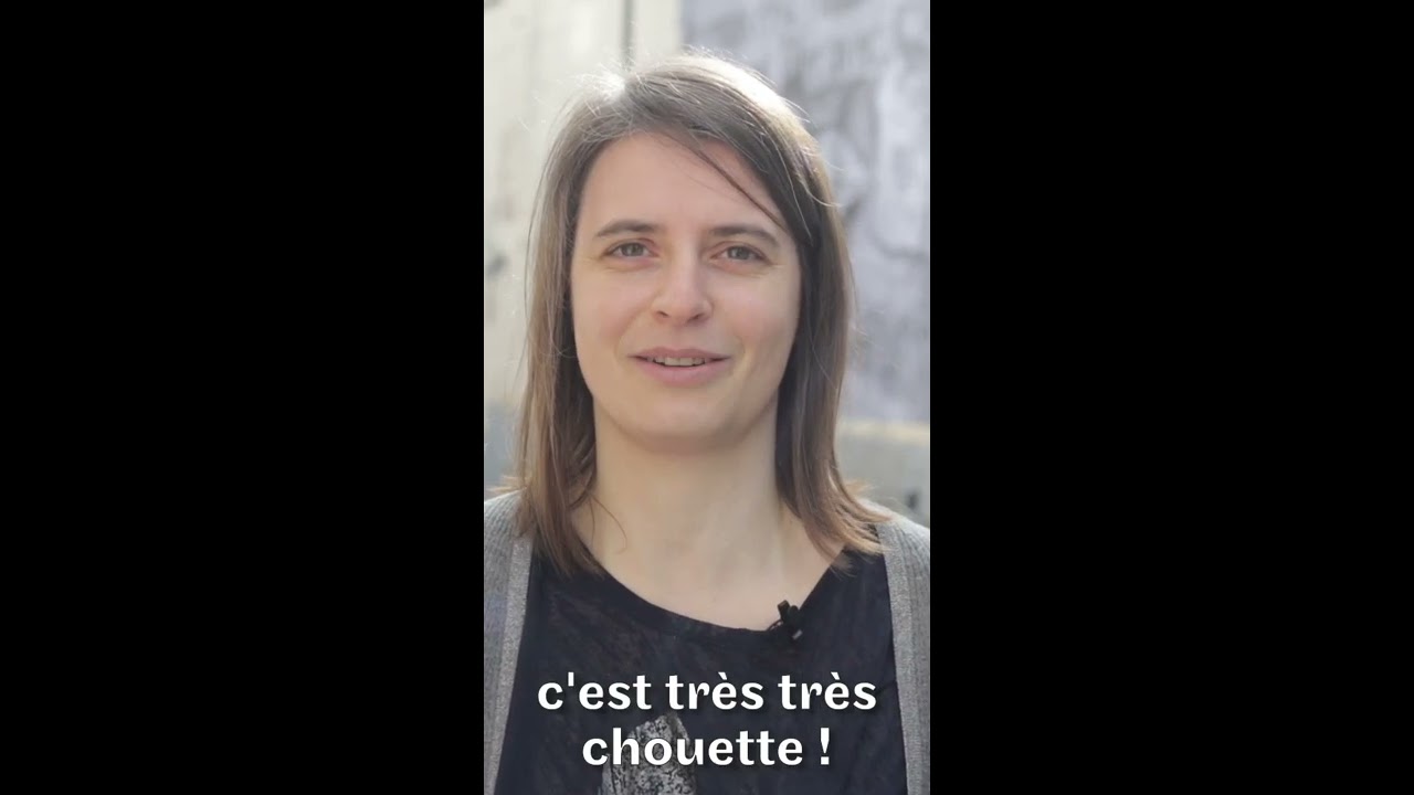 Anne/ master Mégadonnées et analyse sociale - YouTube
