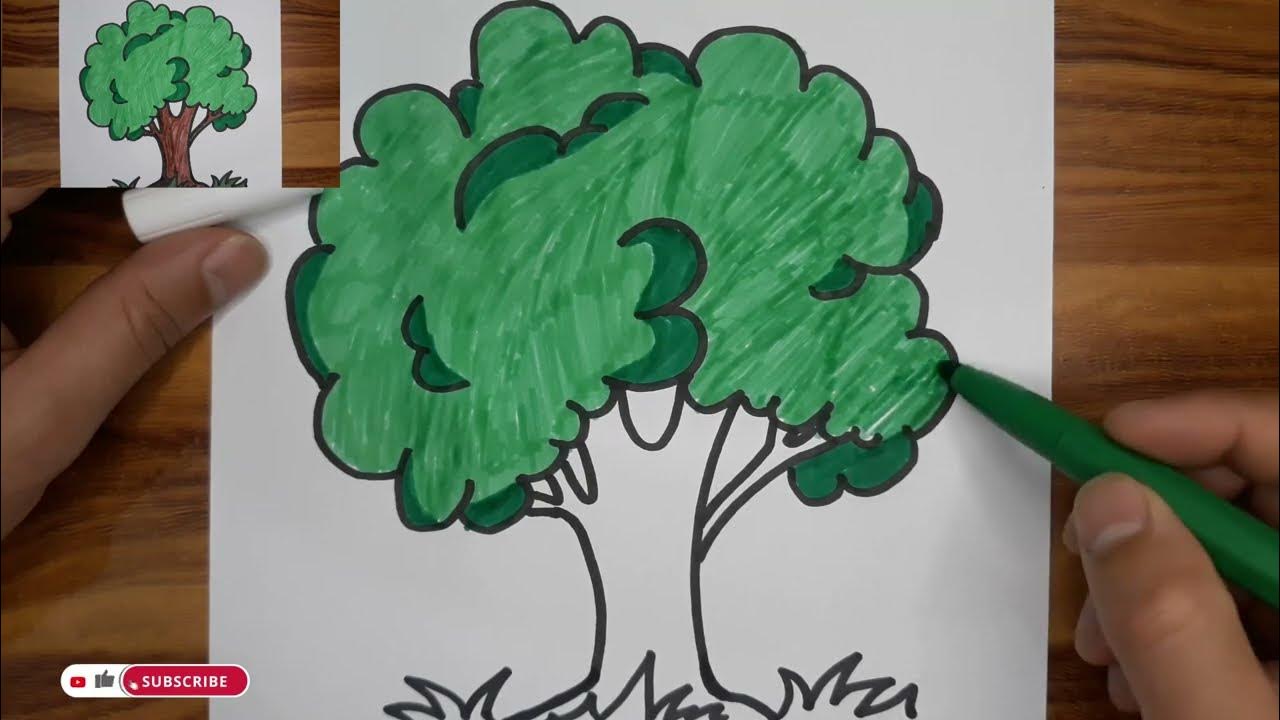 رسم شجره | كيف ترسم شجره برقم ( 3 ) بطريقه سهله خطوه بخطوه بالالوان ...