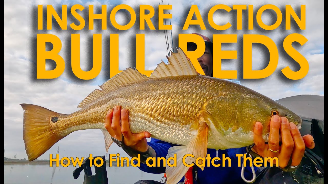 Battling HUGE REDFISH INSHORE on Garmin LiveScope - Saltwater Fishing ...