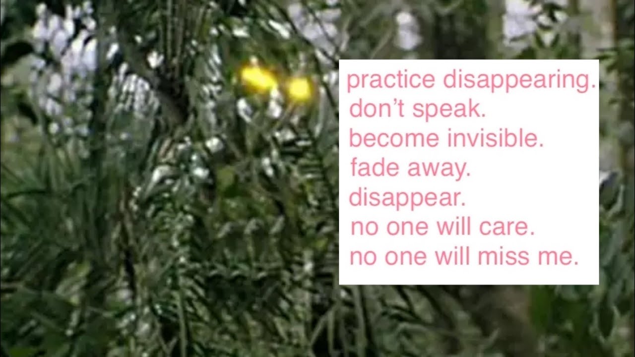 Predator - Invisible - YouTube