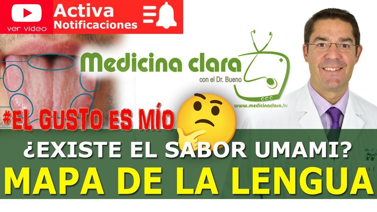 Sentido del gusto. ¿Existe un MAPA de sabores de la LENGUA?. Sabor ...