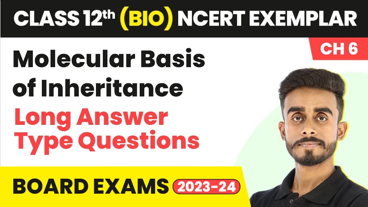 Molecular Basis of Inheritance - Long Answer Type Que | Class 12 ...