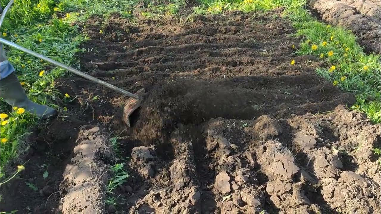 Насадка культиватор на бензокосу. - YouTube