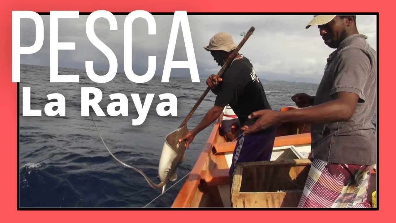 Moments by Pep - Jornada de pesca / La Sabana - Venezuela - YouTube