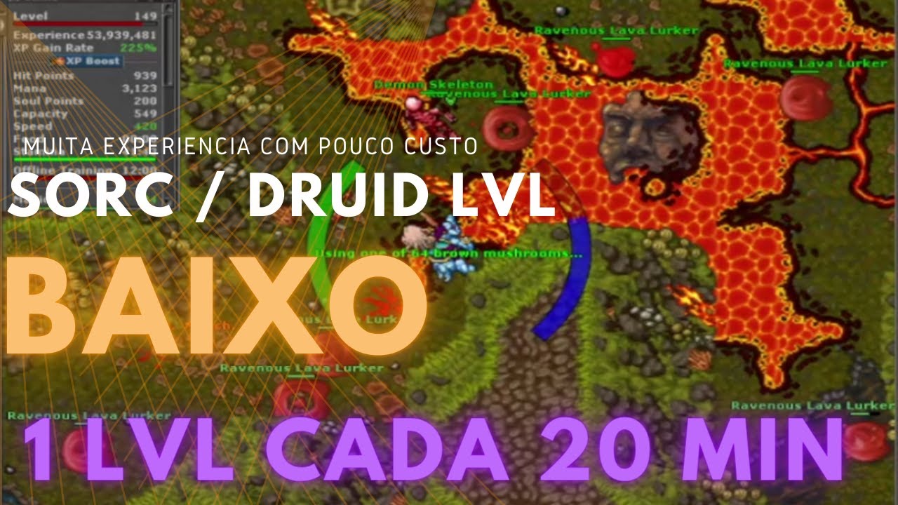 🔴 TIBIA RUSHANDO LVL HUNT SORC/DRUID 100+ 1 LVL CADA 20 MIN - YouTube