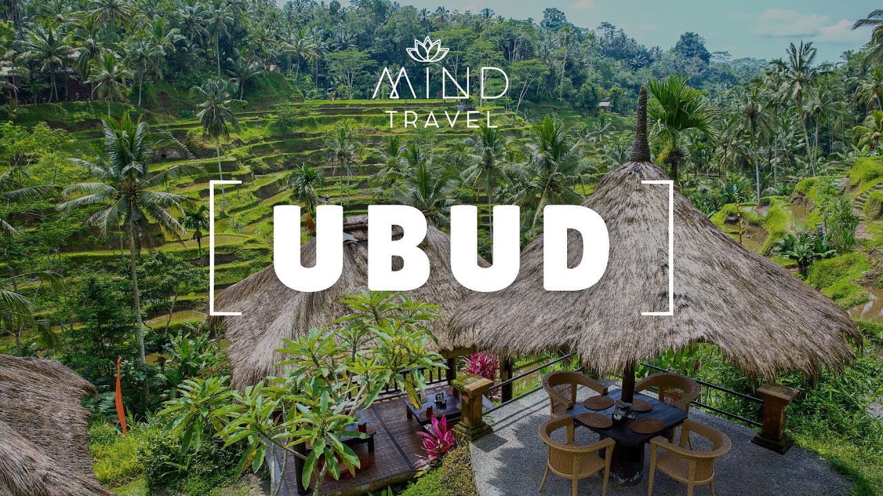 🌴UBUD 4K - The best things to see and do in Ubud, Bali. From the most ...