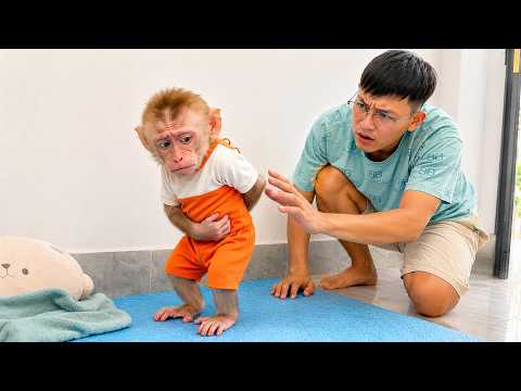 Baby Monkey Hides His Tummy Pain—But Dad Notices the Signs 😰❤️