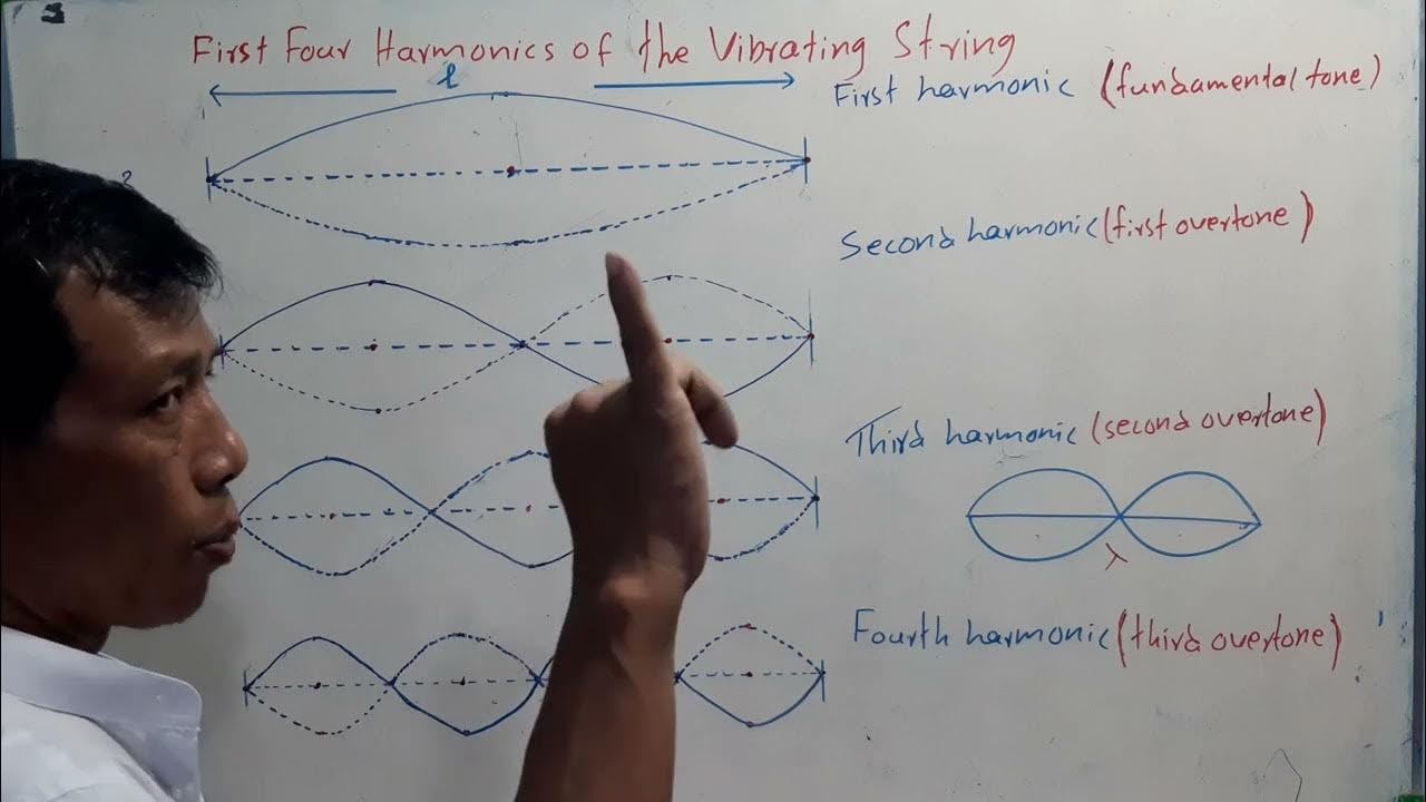 Grade(11) Chapter(6) First Four Harmonics of Vibrating String - YouTube