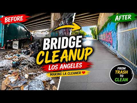 Massive Trash Removal Under a Los Angeles Bridge