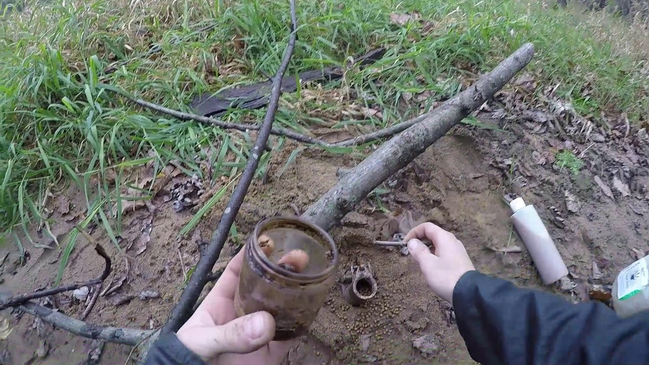 S2 Day 1 Refuge Water Trapping Wisconsin for Coon, Mink, and Muskrat ...