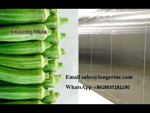 How To Process Okra? Okra Washing & Freezing Line - YouTube