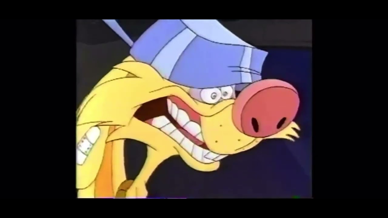 Bonkers Intro 1993 - YouTube