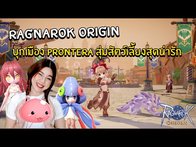 บุกเมือง Prontera สุ่มสัตว์เลี้ยงสุดน่ารัก | Ragnarok Origin