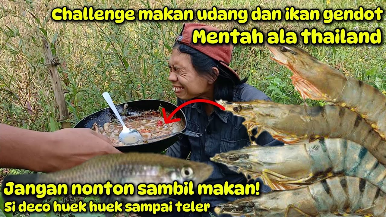 Challenge Makan Udang Dan Ikan Gendot Mentah! Si Deco Huek Huek Sampai ...