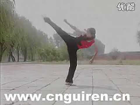 Sanda the chinese kickboxing techniques - YouTube