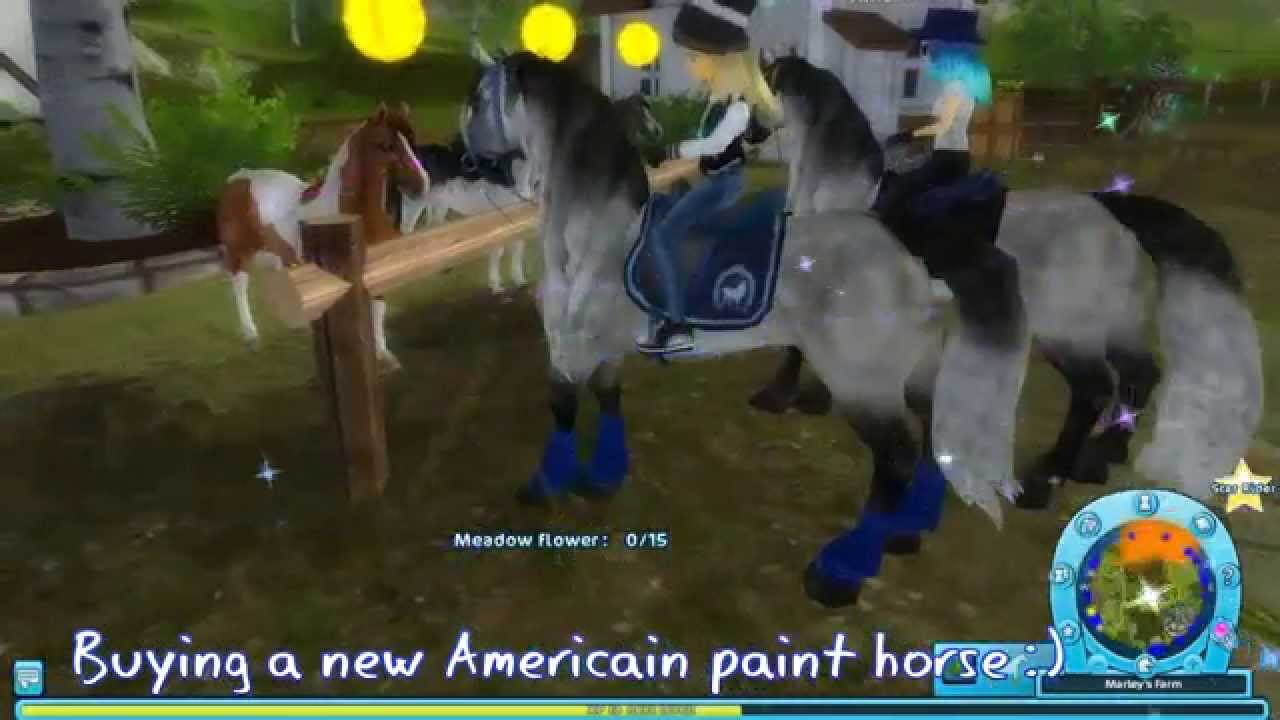 SSO 3000 SC + Buying 2 new horses A Grey Andalusian and one of the New ...