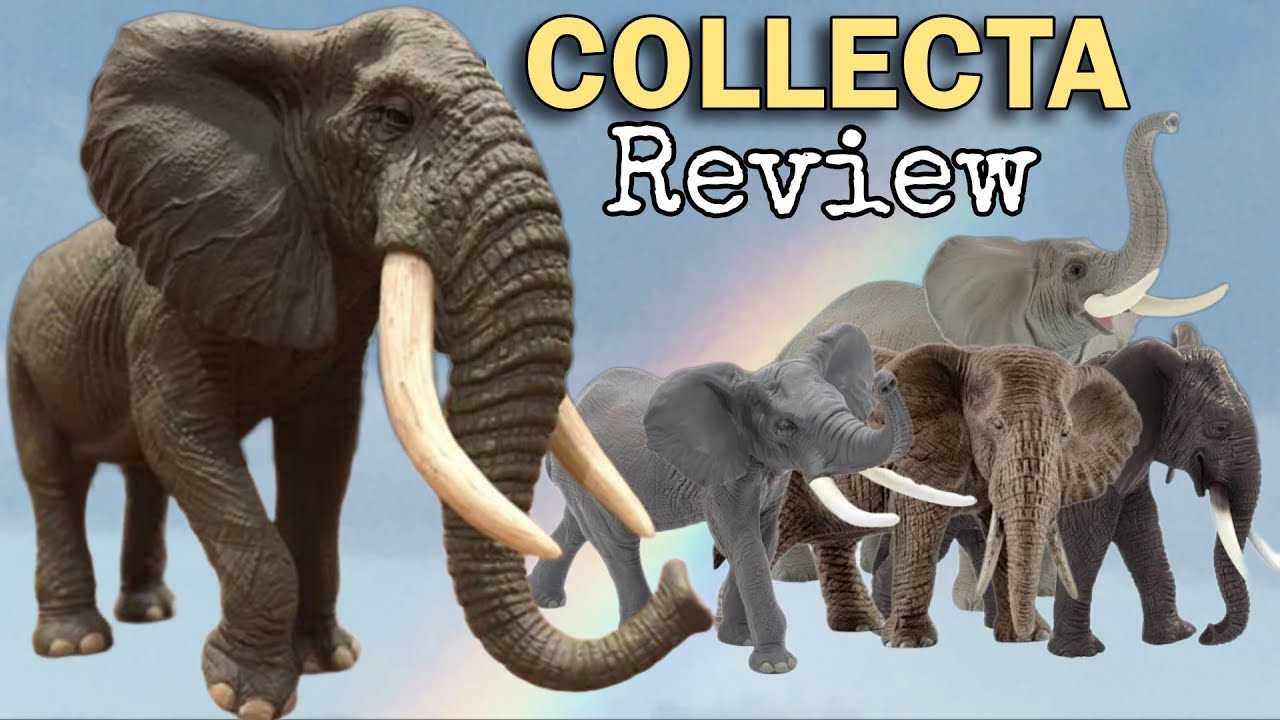 REVIEW!! / Unleashing CollectA's African Bush Elephant Charm 😍 - YouTube