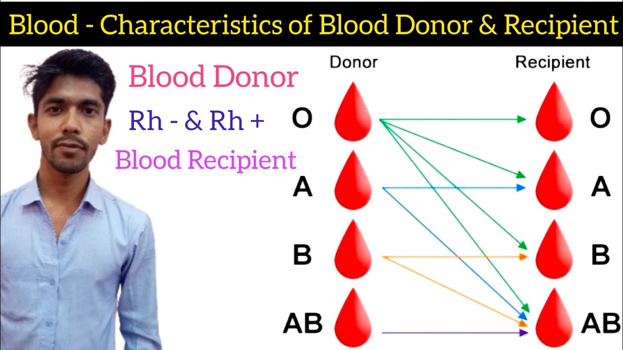 Blood | Blood Donor | Blood Recipient | Characteristic Of Blood Donor ...