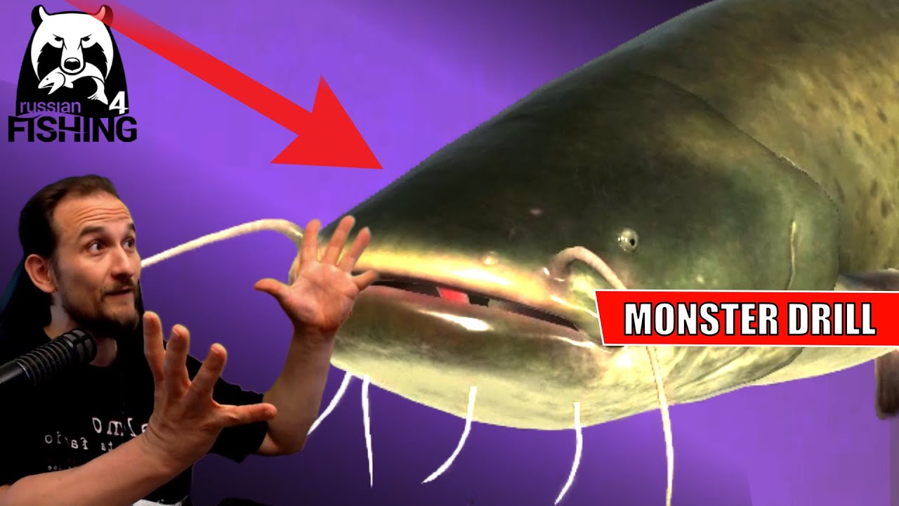 Russian Fishing 4 - Achtuba - Monster Drill beim Wels angeln - YouTube