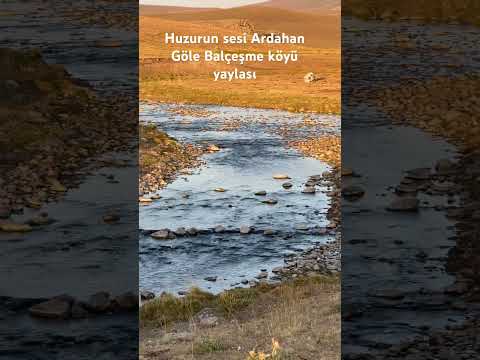 #balçeşmeköyü Ardahan Göle Balçeşme köyü yaylası