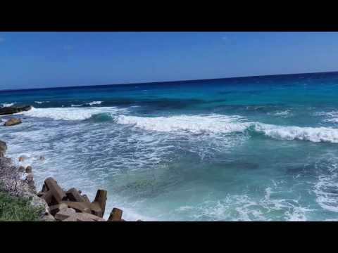 Hyatt Ziva Cancun Ocean 2016