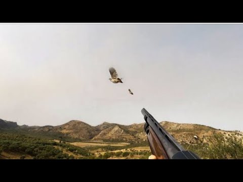 SHOTKAM ÇEKİMLERİ SERİ KEKLİK VURUŞLARI. KEKLİK AVI PARTRİDGE HUNTİNG.