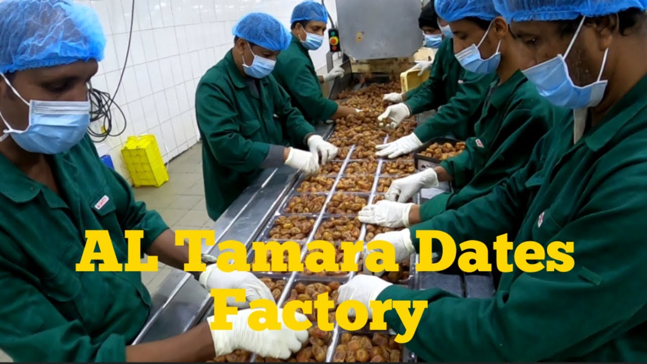 Views from Tamara Dates Factory - YouTube