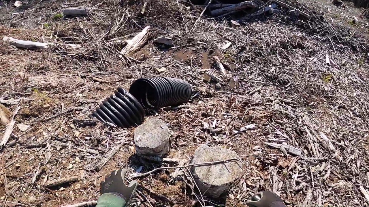 Effects of Stream Buffers on Soils and Proper Use of Culverts - YouTube