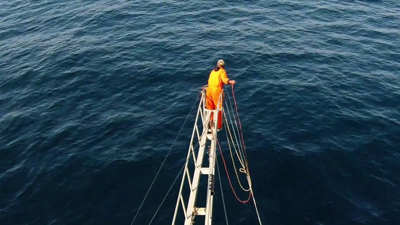 Harpooning Swordfish the Steve Gray Way 2015 - YouTube