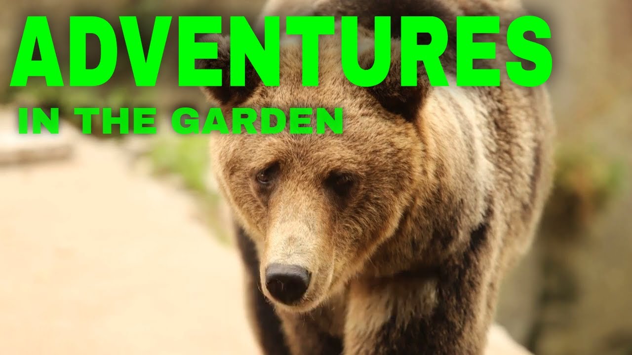 Adventures in the Garden, Toddlers bedtime stories, Sleepy bedtime ...